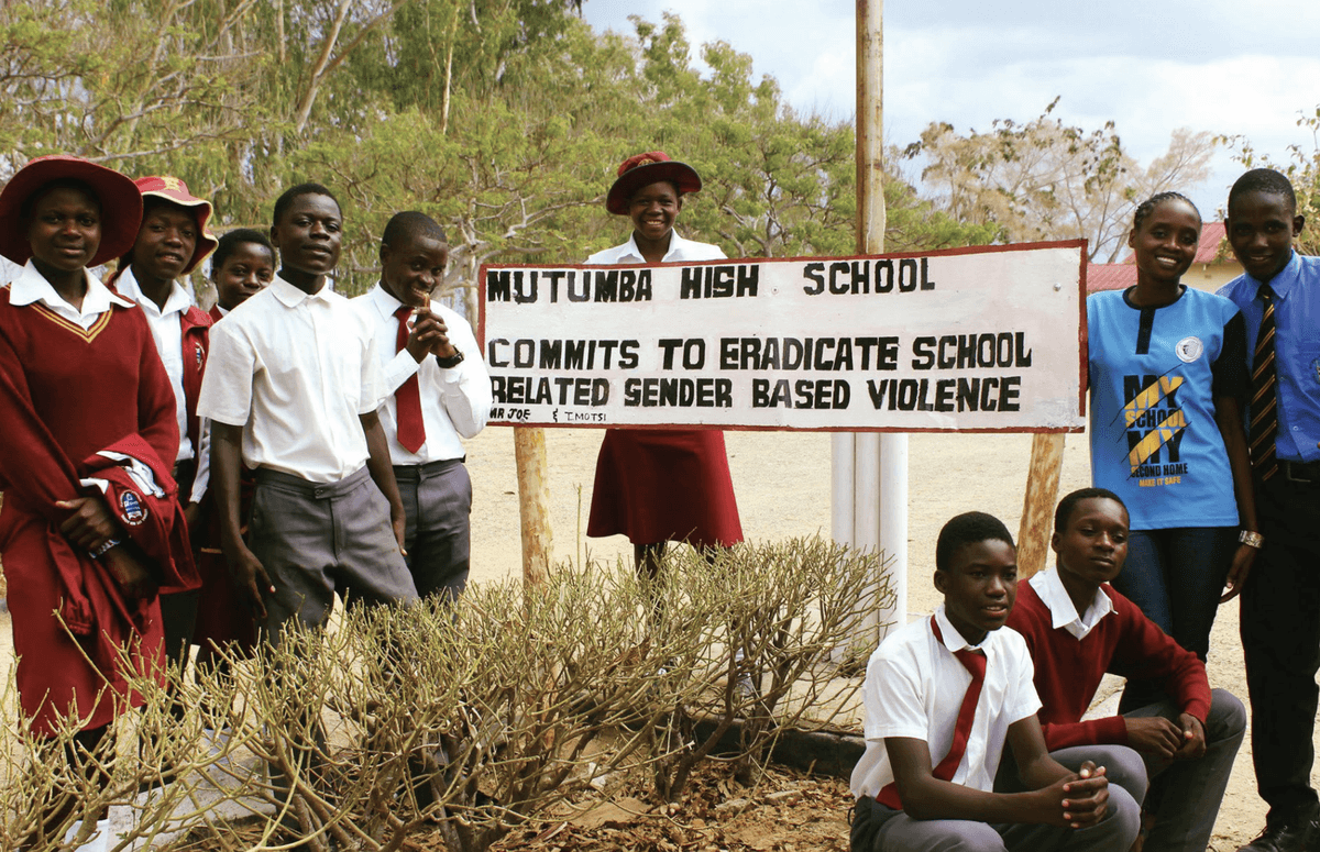 School violence: why gender matters and how to measure school-related…